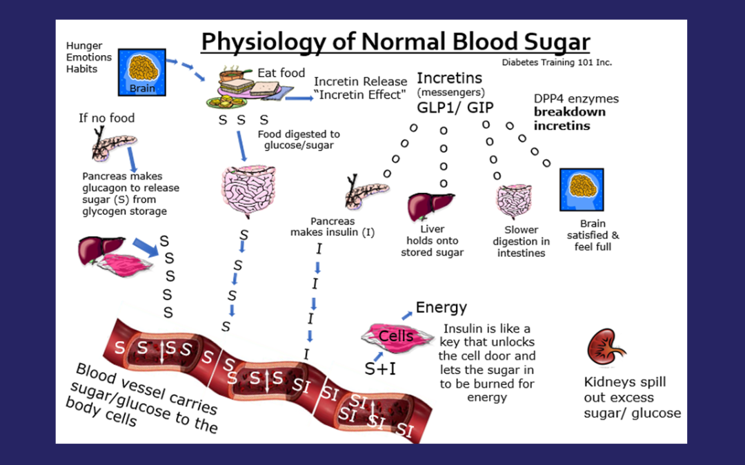 The Realities of Type 2 Diabetes Remission: Part 1 Physiology ...